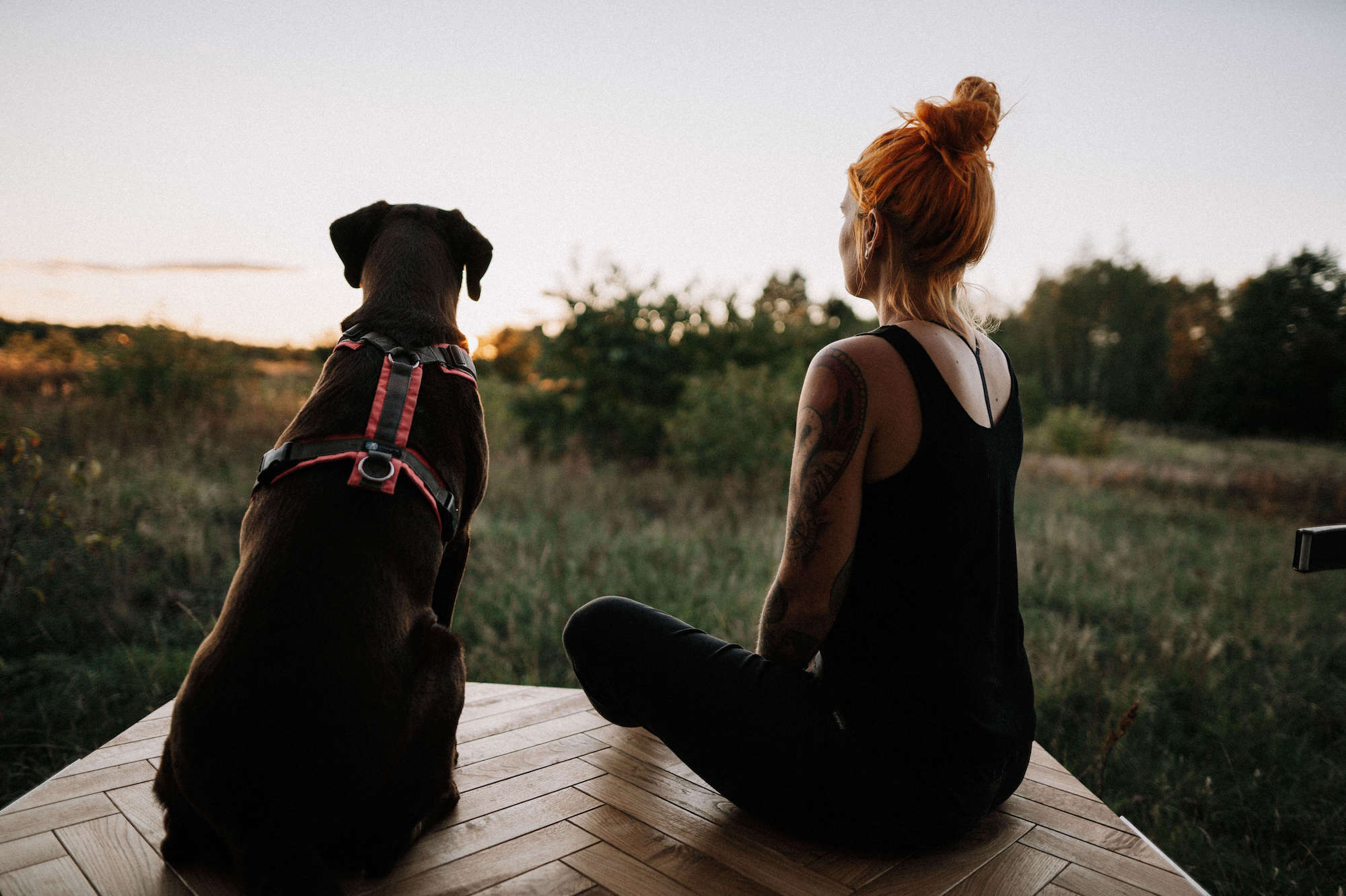 VIP Dogs Academy Integration - Tina Schwarz