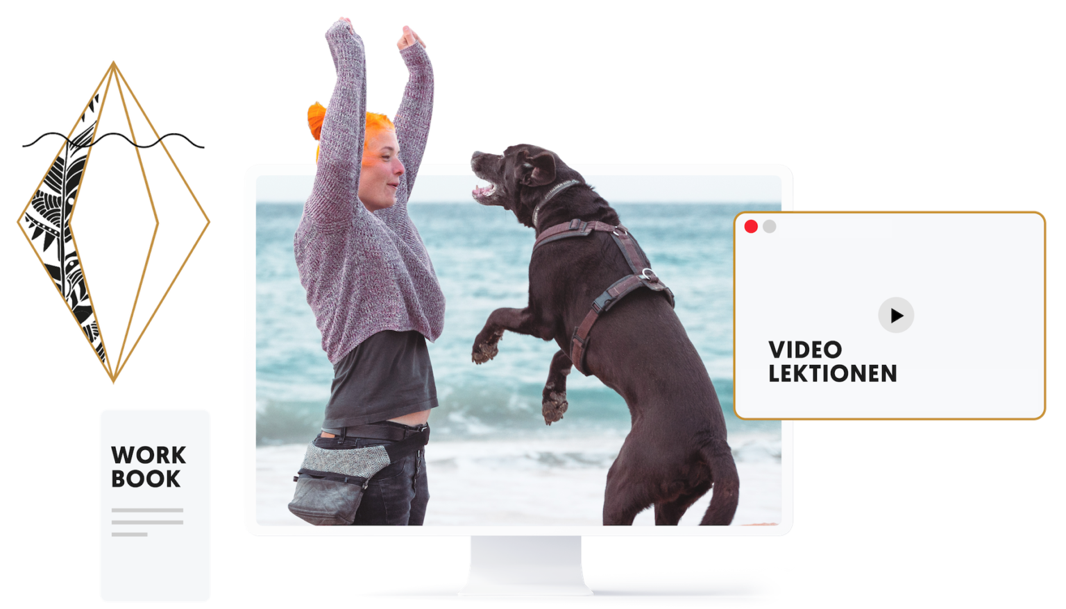 VIP Dogs Academy Level 1 - Tina Schwarz