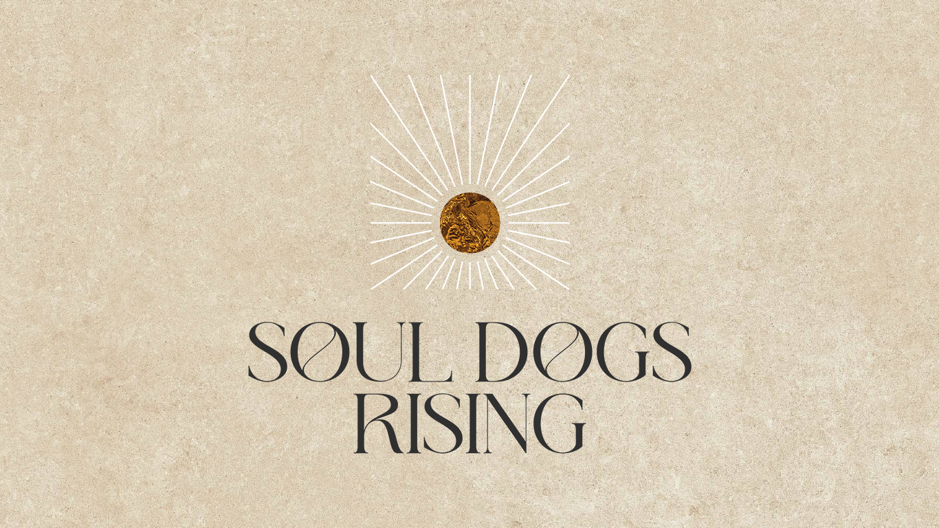 Clever Soul Dogs Teacher Training - Tina Schwarz
